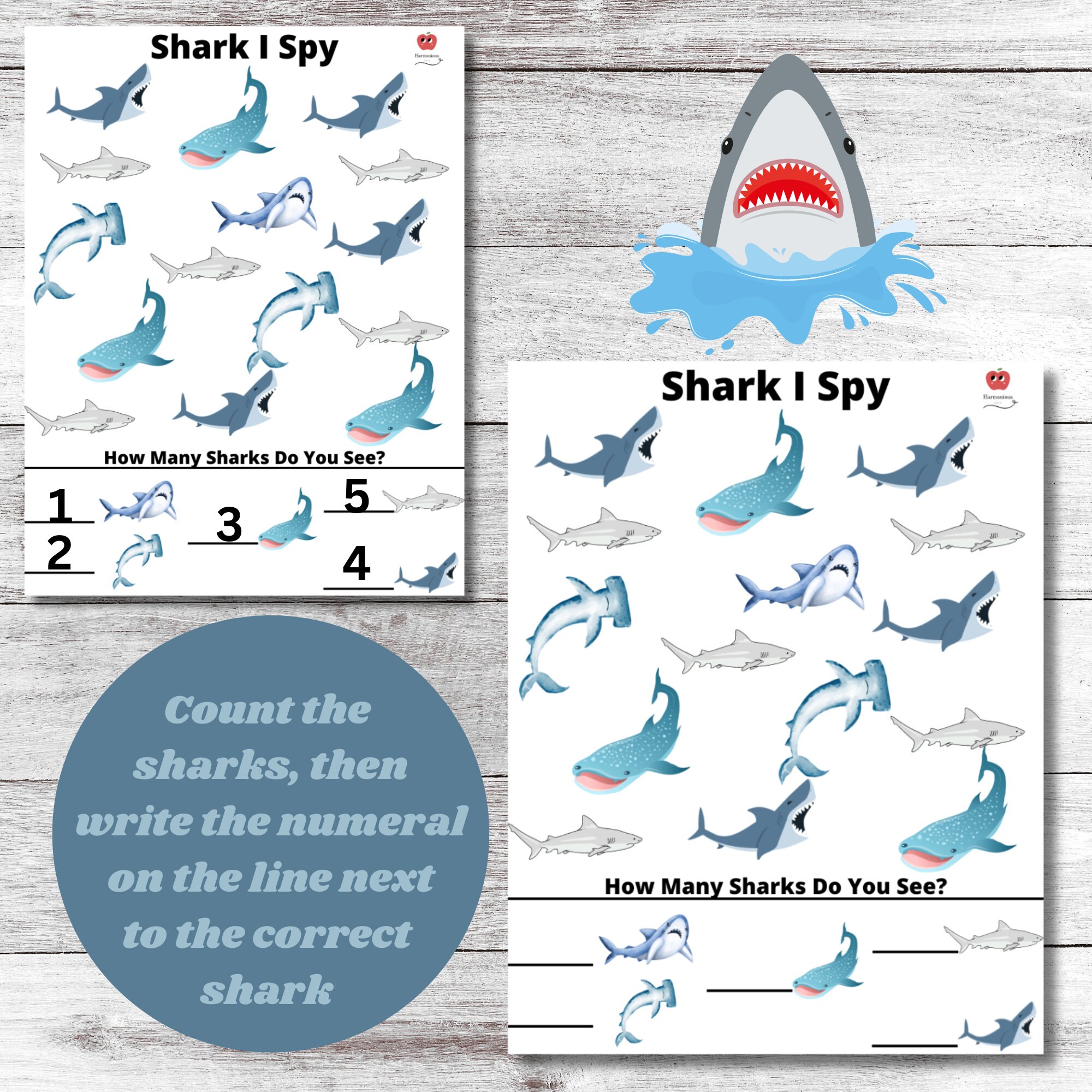 Shark Activity Pack| Shark Week Worksheets| Instant Download - Etsy