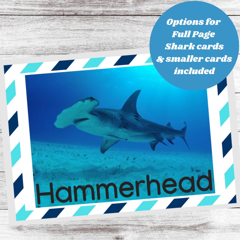 Shark Memory Game| Shark Week Matching Activity| Instant Download - Etsy