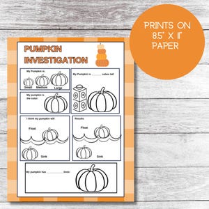 Pumpkin Investigation| Fall Stem| Pumpkin Science - Etsy