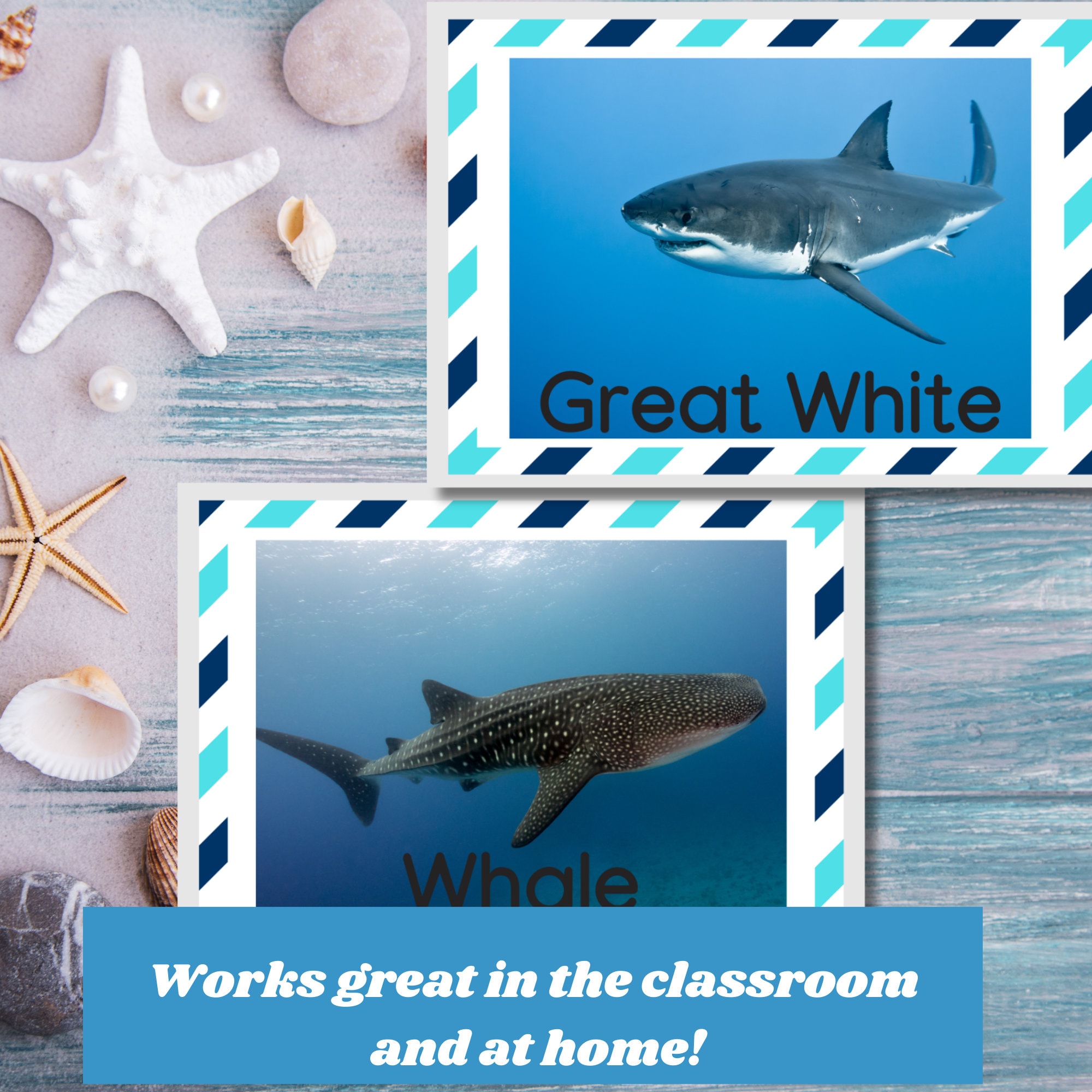 Shark Memory Game| Shark Week Matching Activity| Instant Download - Etsy