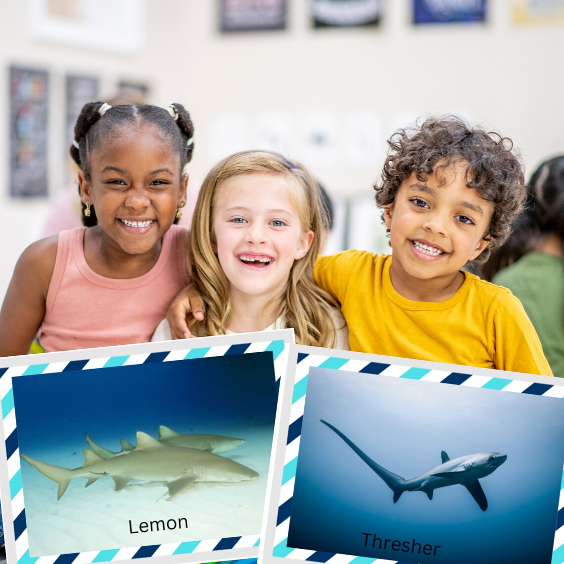 Shark Memory Game| Shark Week Matching Activity| Instant Download - Etsy
