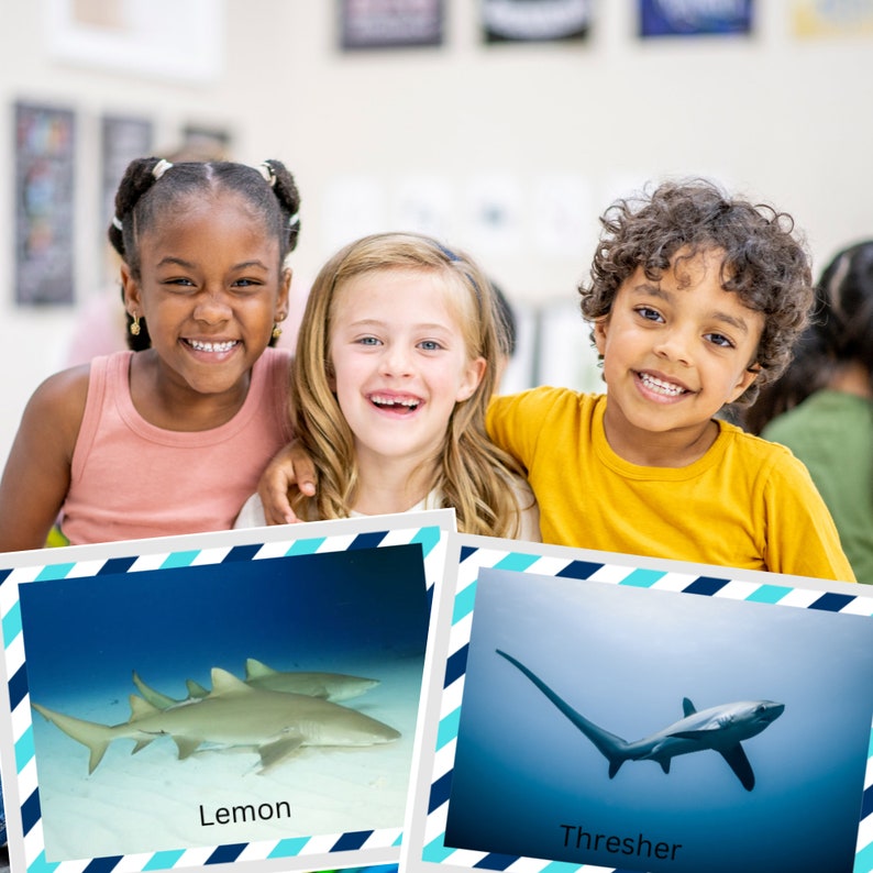 Shark Memory Game| Shark Week Matching Activity| Instant Download - Etsy