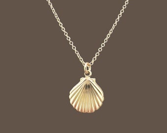 Shell Necklace Beach Jewelry Gift Ideas 14k Gold Filled Charm and Chain ...