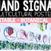 Botanical Pocket Chart Calendar & Flip Calendar and Weather EDITABLE ...