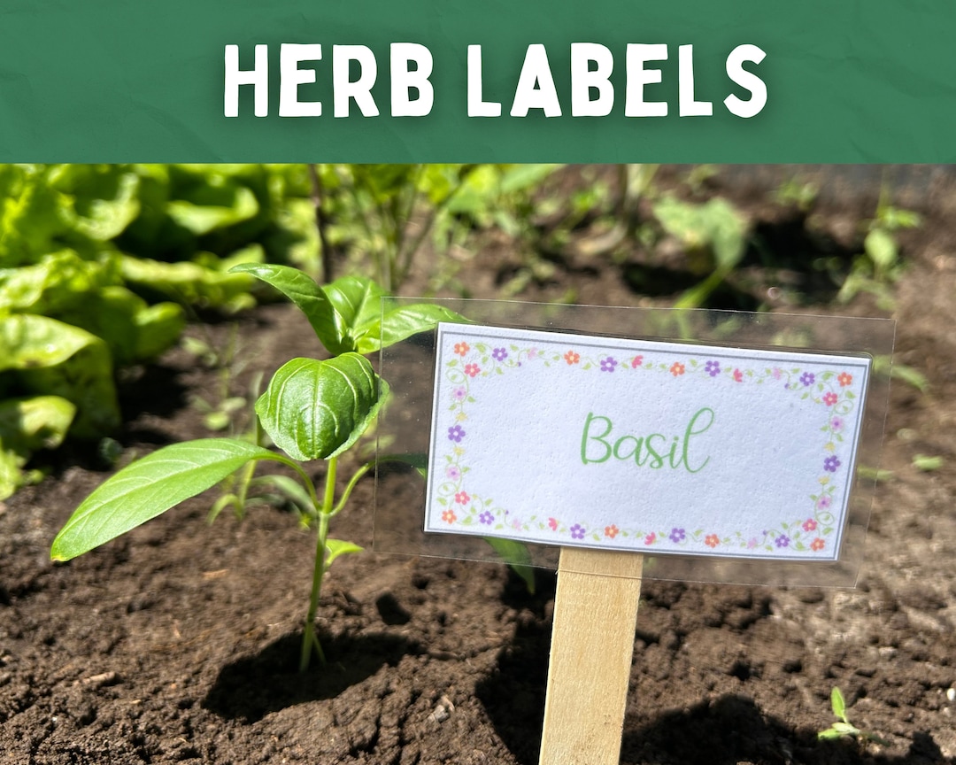Herb Labels Raised Garden Bed Planter Box Container Gardening Signs ...