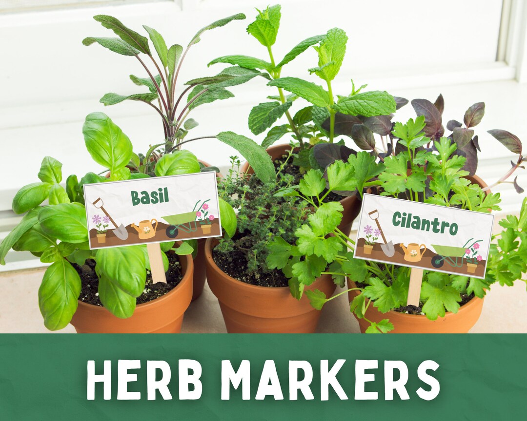 Indoor Herb Garden Herb Markers Printable Gardening Signs, Garden ...