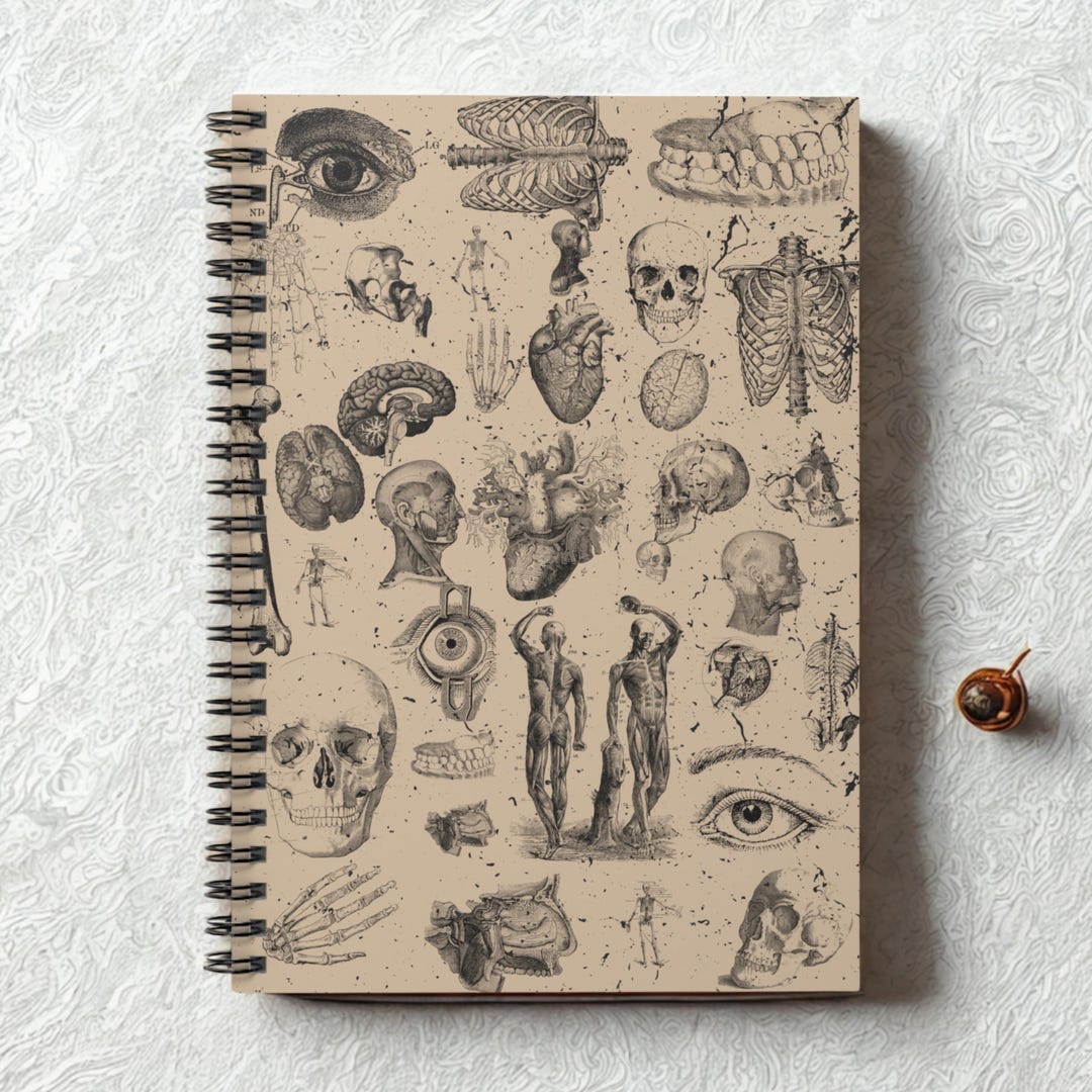 Vintage Anatomy Notebook, Timeless Journal for Special Occasions ...