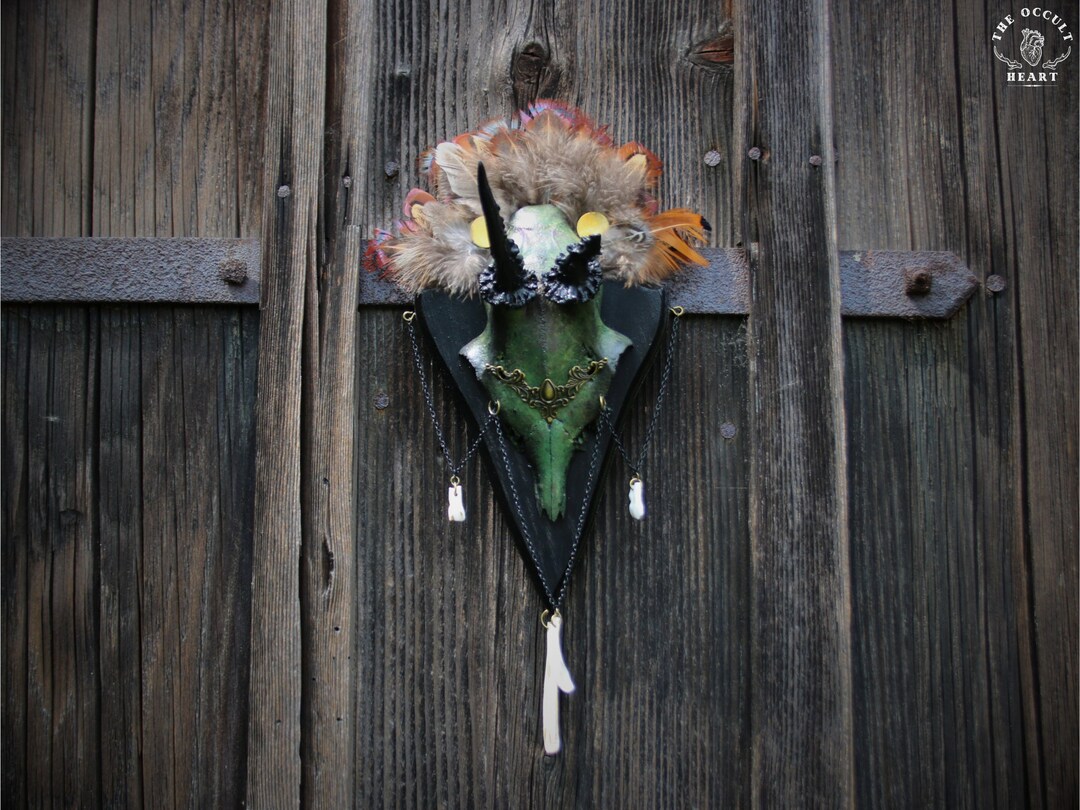 Voodoo Roebuck Skull Display With Feathers and Animal Teeth on Black ...