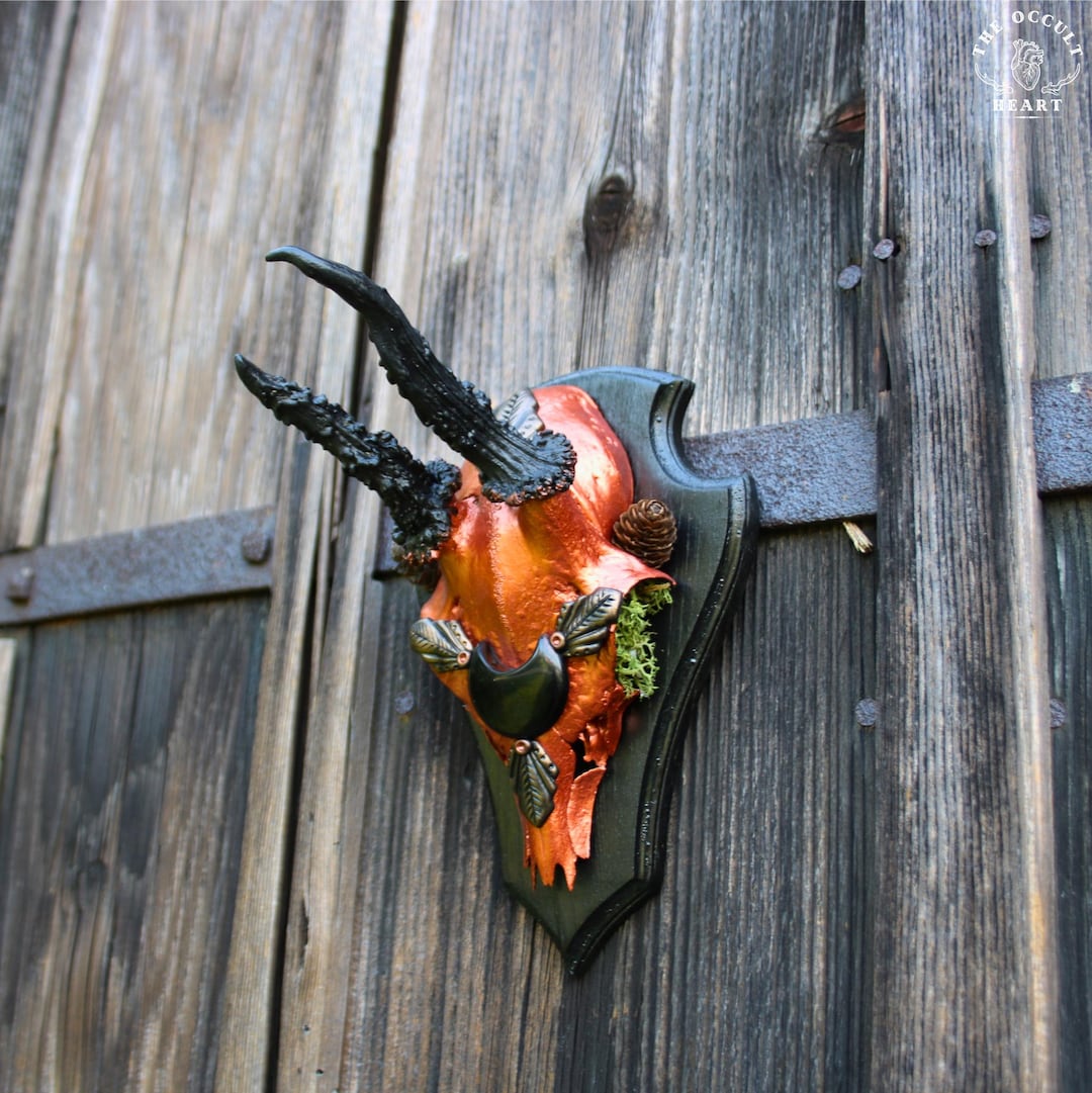 Roebuck Skull on Black Wooden Shield With Obsidian Crescent Moon – Hand ...