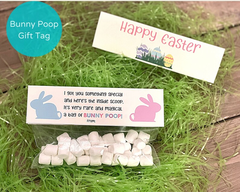 Bunny Poop Printable Bag Topper/ Easter Printable Bag Topper/ - Etsy Canada