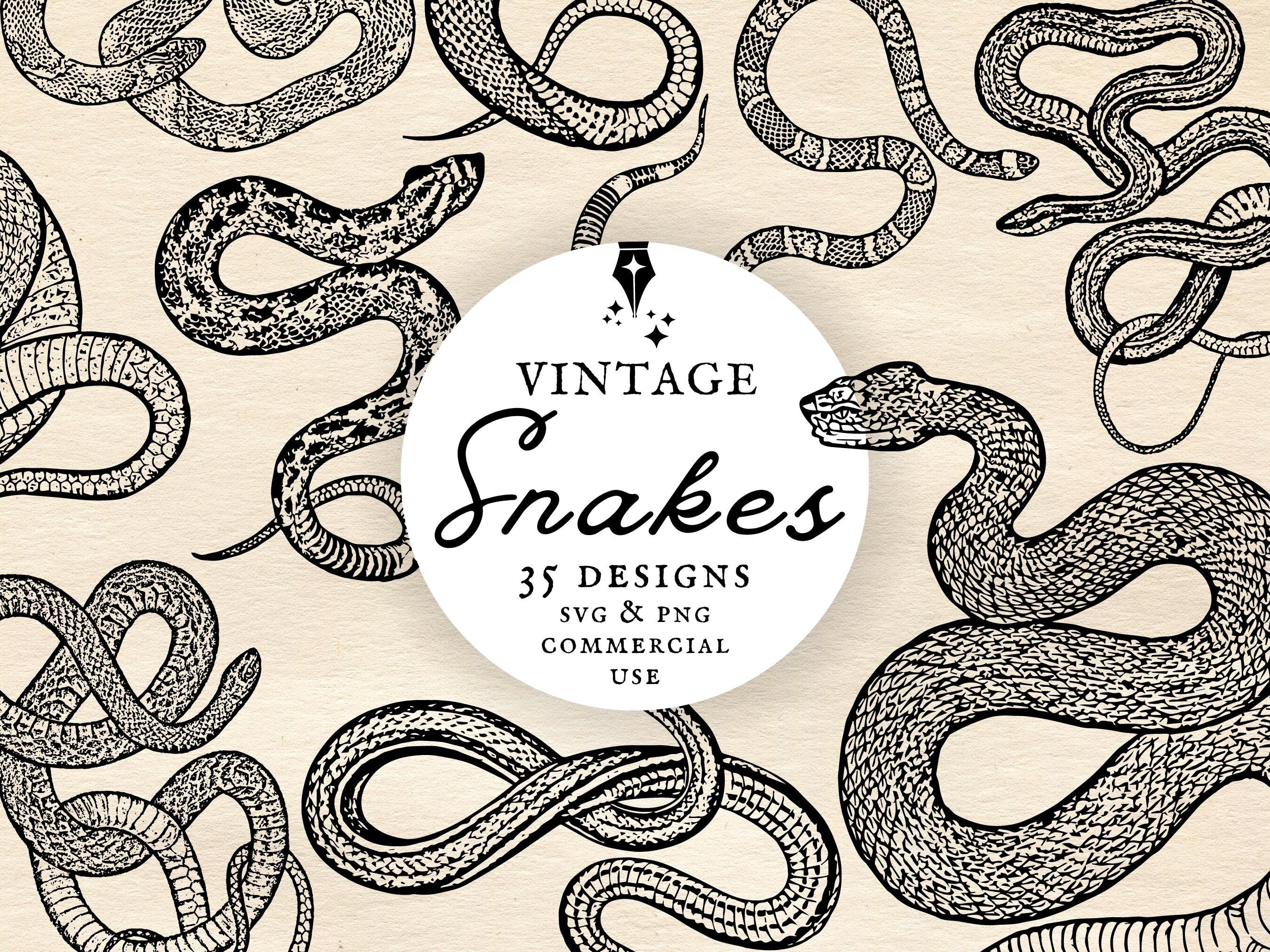 Buy Vintage Snake Clipart Set Snake PNG Snakes Clipart Snake SVG Online ...