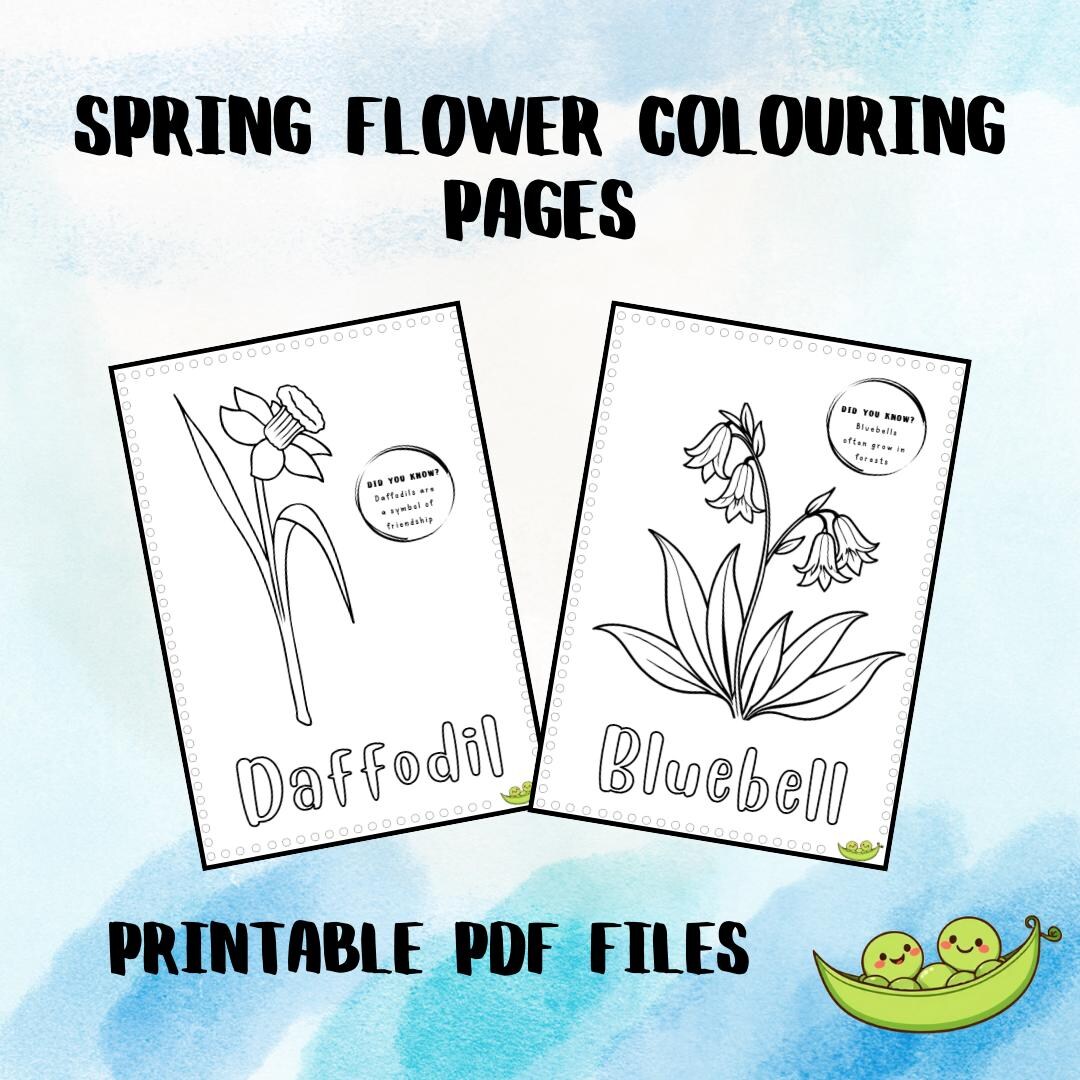 5 Spring Flower Colouring Pages - Printable Designs With Fun Facts - Etsy