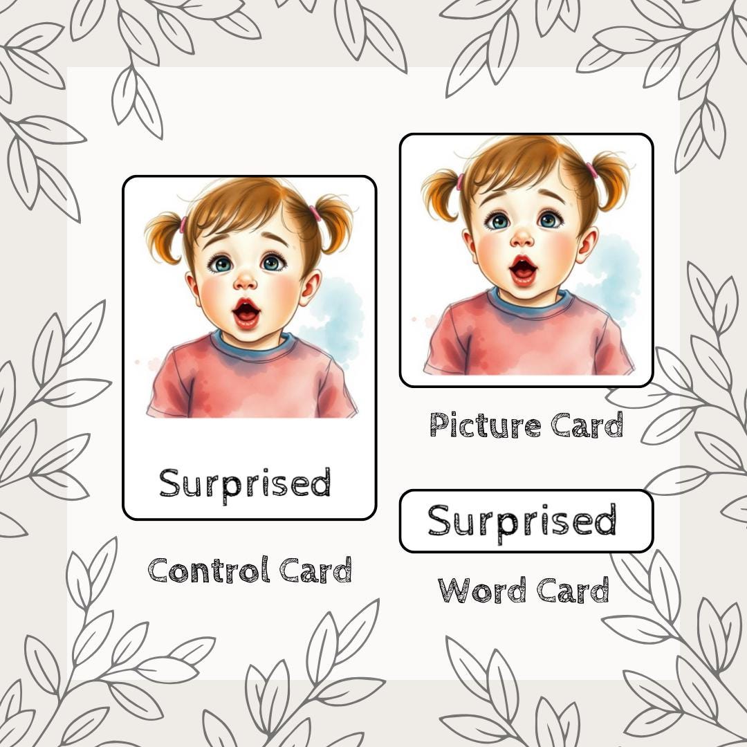 Montessori Emotions Flashcards | Three-part Cards | Social Emotional ...