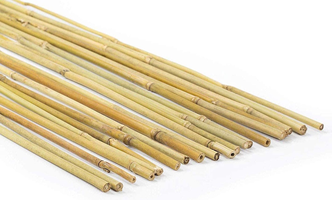 50 Bamboo Supports Plant Stakes Bamboo Canes Support Length 50-100-150 ...
