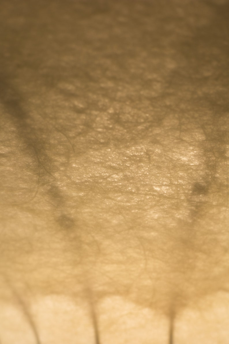 Vintage Cocoon Resin Lamp by Achille & Pier Castiglioni for Flos 1970s ...