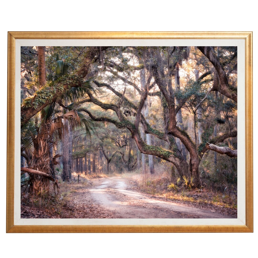 SPANISH MOSS Covered FOREST Path - Instant Digital Download Photograph ...