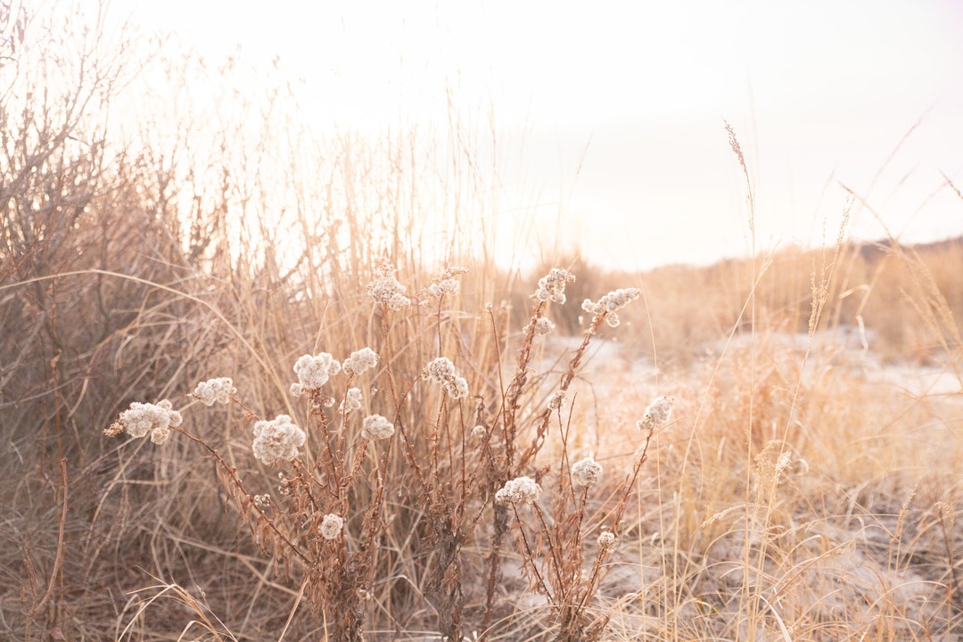 SEASHORE NATURE LANDSCAPE - Instant Digital Download Photograph ...