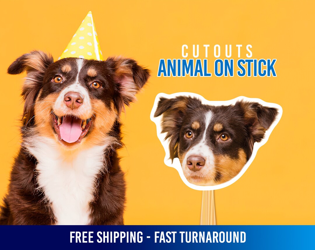Pet Face Fans, Personalized Face on a Stick for Customized Pet ...
