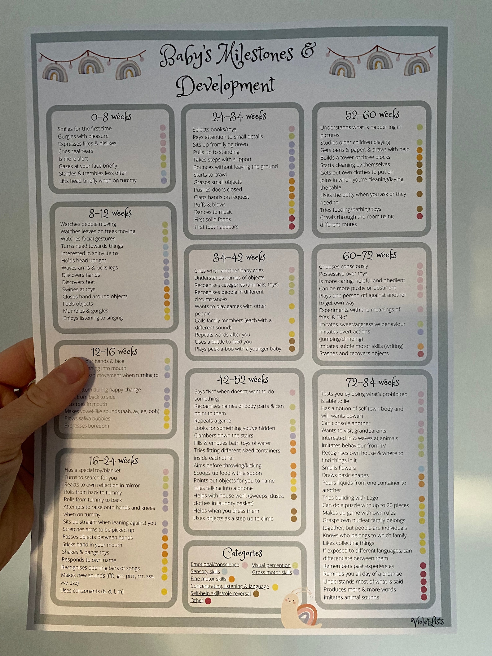 Baby Milestone and Development Chart, Printed, Laminated, Baby ...