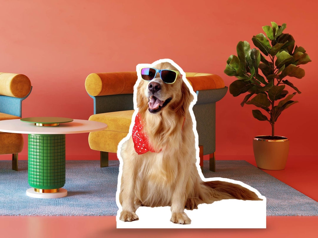 Pet Cutouts, Custom Cutouts, Pet Dog Life Size Cutouts, Cat Cutouts - Etsy