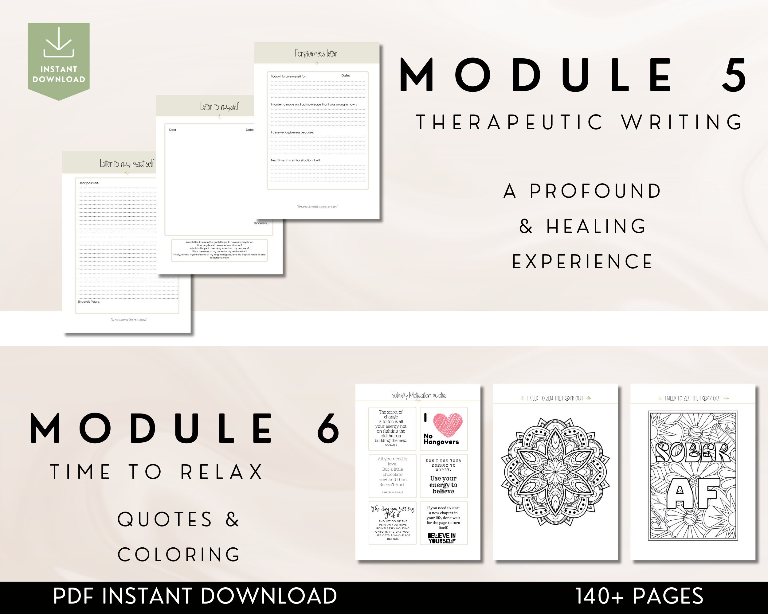 Sobriety Journal And Workbook For Addiction Recovery Counselor