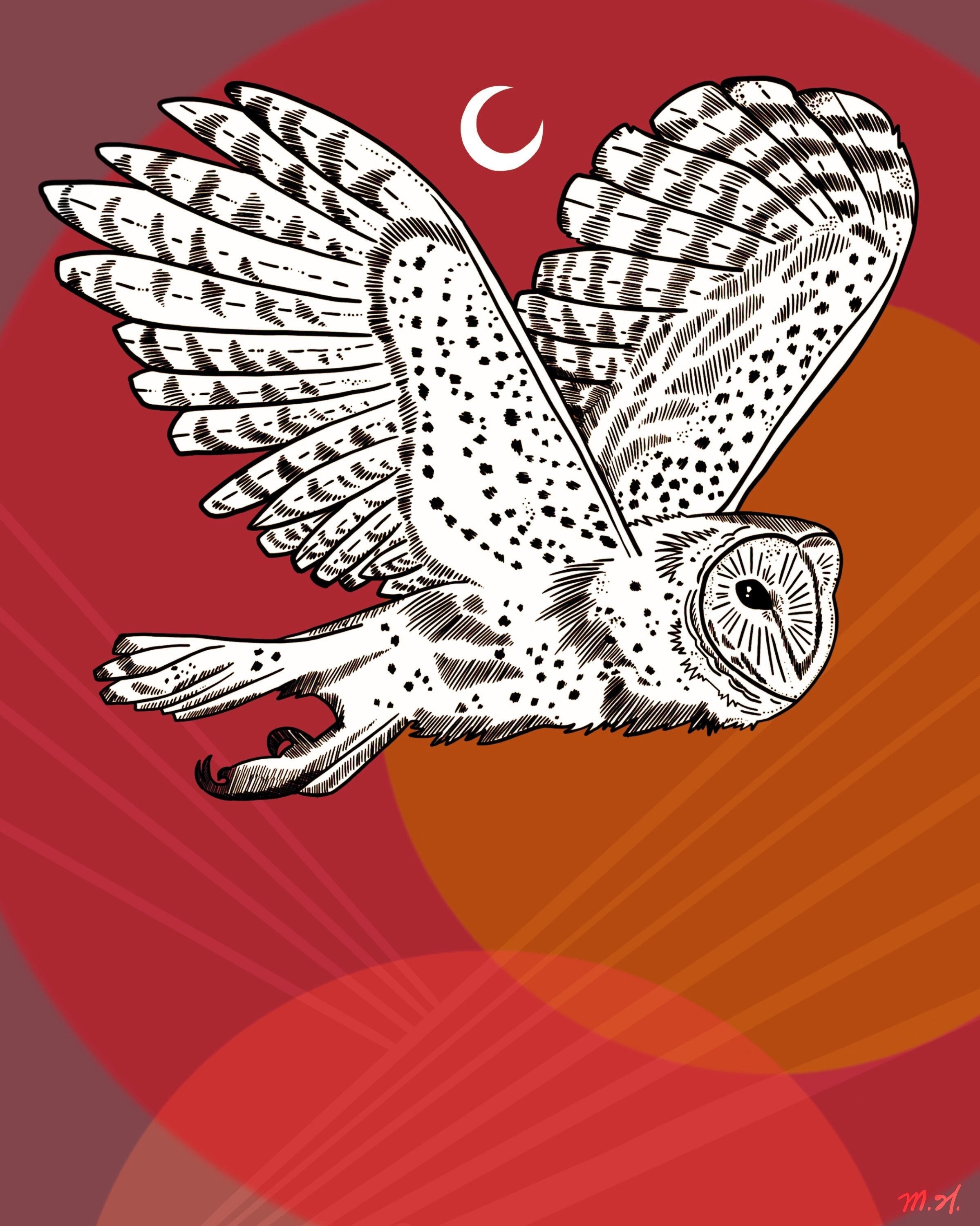 Snowy Owl Art Print Digital Painting 8x10 Print - Etsy