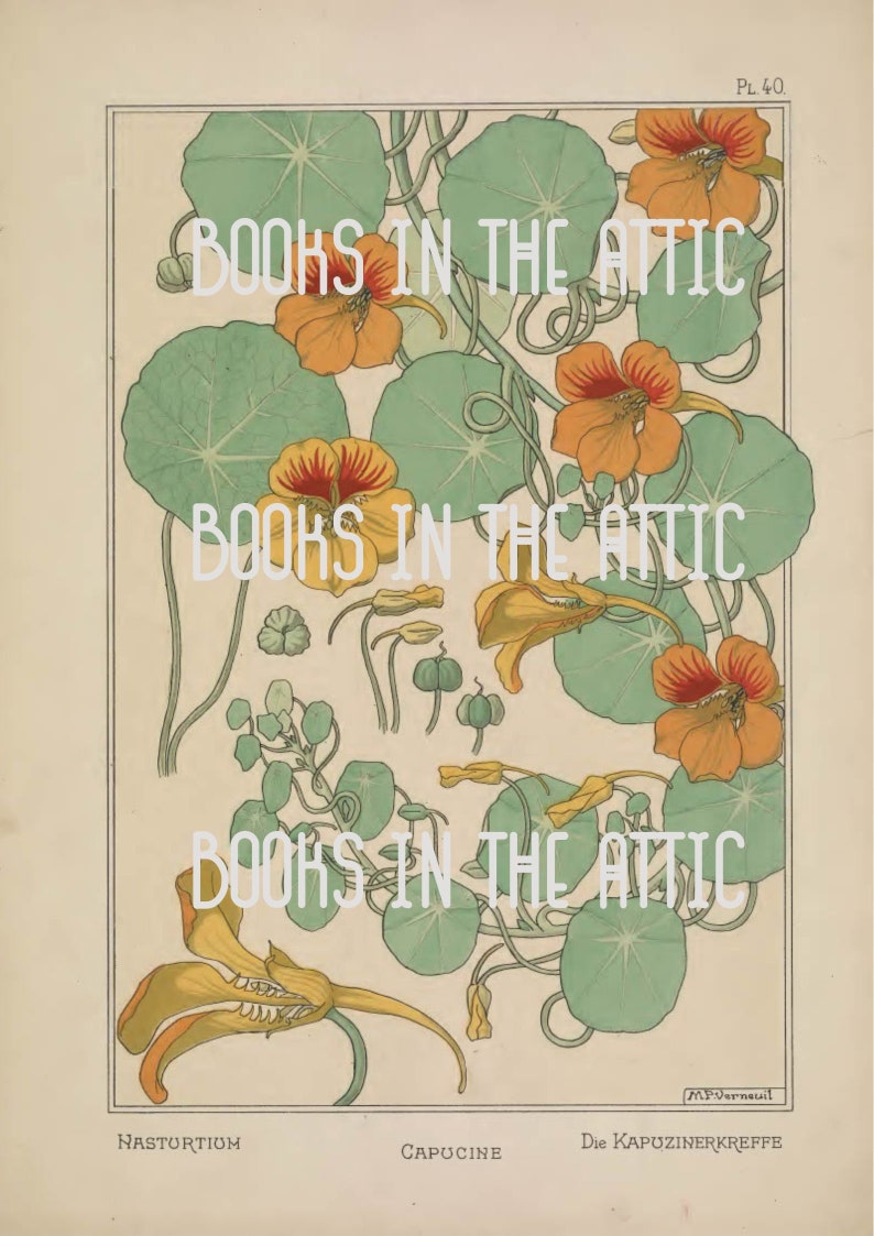 Art Nouveau Plants and Their Application to Ornament, Botanical ...