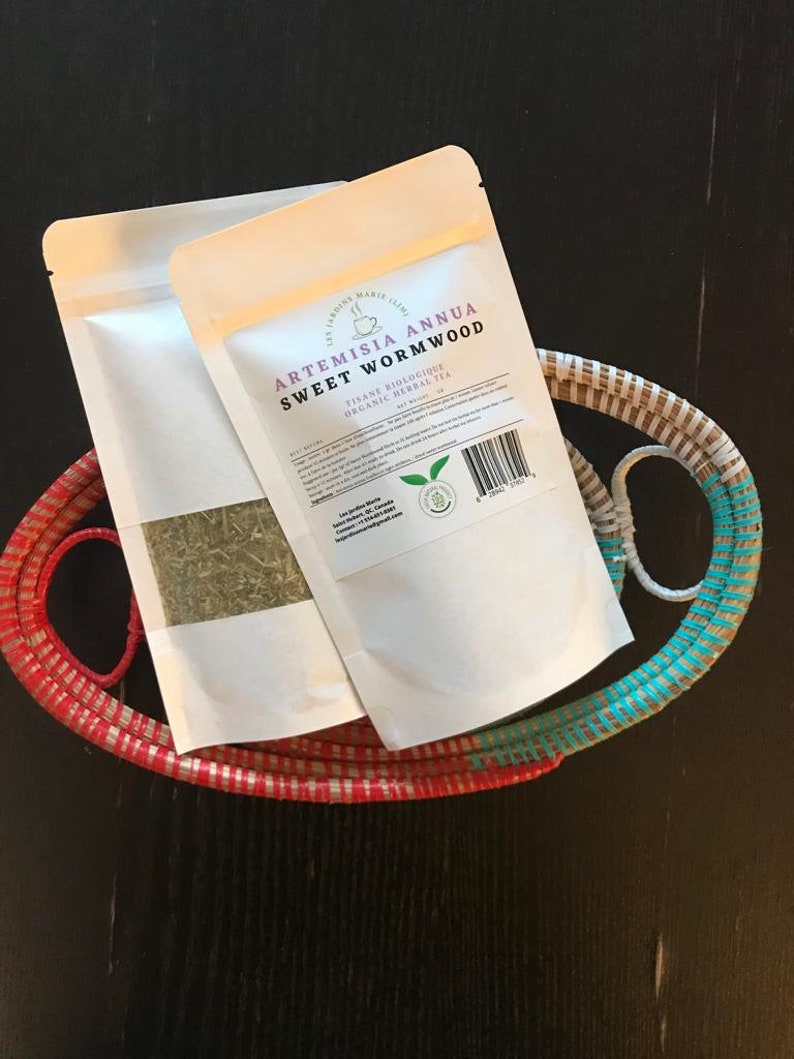 Artemisia Annua (in BULK) - Sweet Wormwood - Etsy