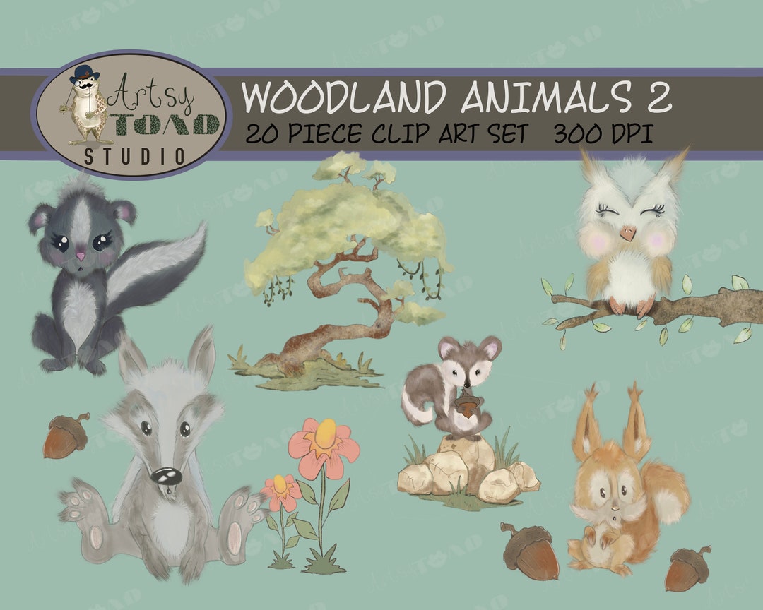 Woodland Animals Clip Art Set Badger, Skunk, Squirrels, Owl - Etsy