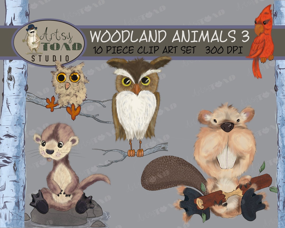 Woodland Animals Clip Art Set Beaver, Owls, Otter and Cardinal - Etsy