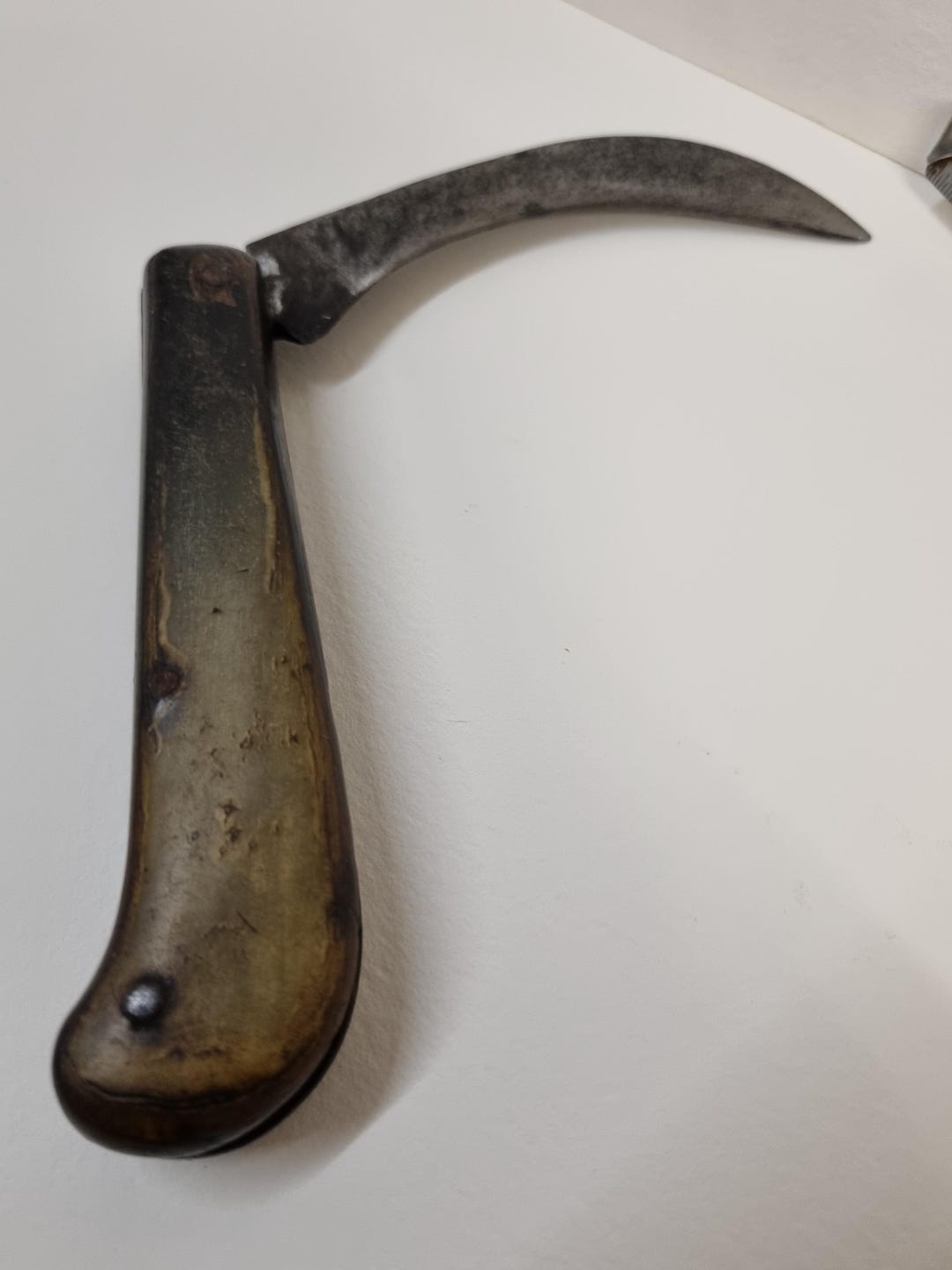 Antique Georgian Hawksbill Horn Handled Tool - Etsy