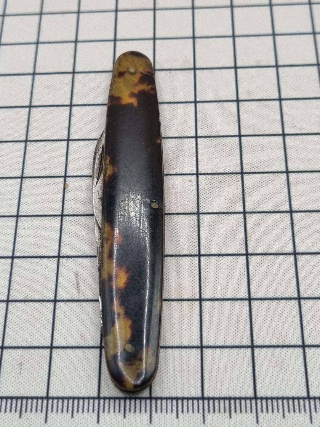 1880s Tool With Tortoise Shell Handle - Etsy