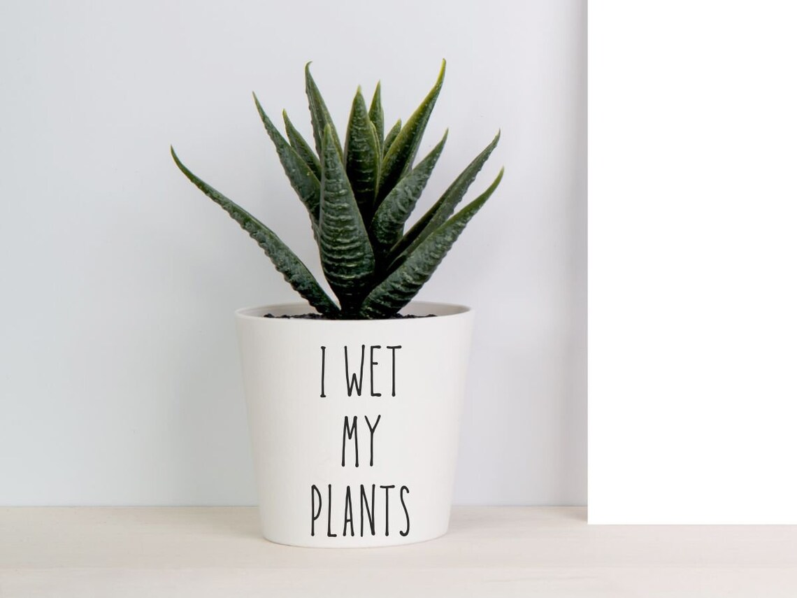Plant SVG Bundle, Funny Plant Svg, Planter Svg, I Love Plants Svg ...