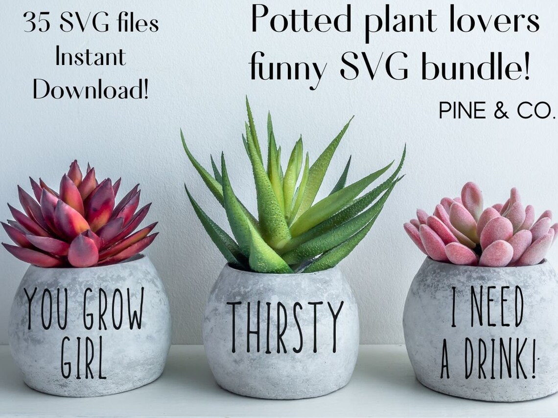 Plant SVG Bundle, Funny Plant Svg, Planter Svg, I Love Plants Svg ...