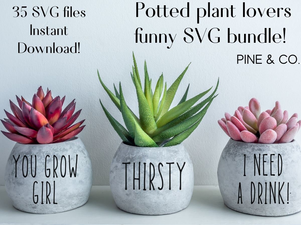 Plant SVG Bundle, Funny Plant Svg, Planter Svg, I Love Plants Svg ...