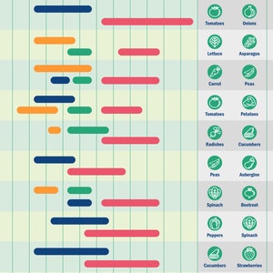 Planting Planner Poster - Etsy