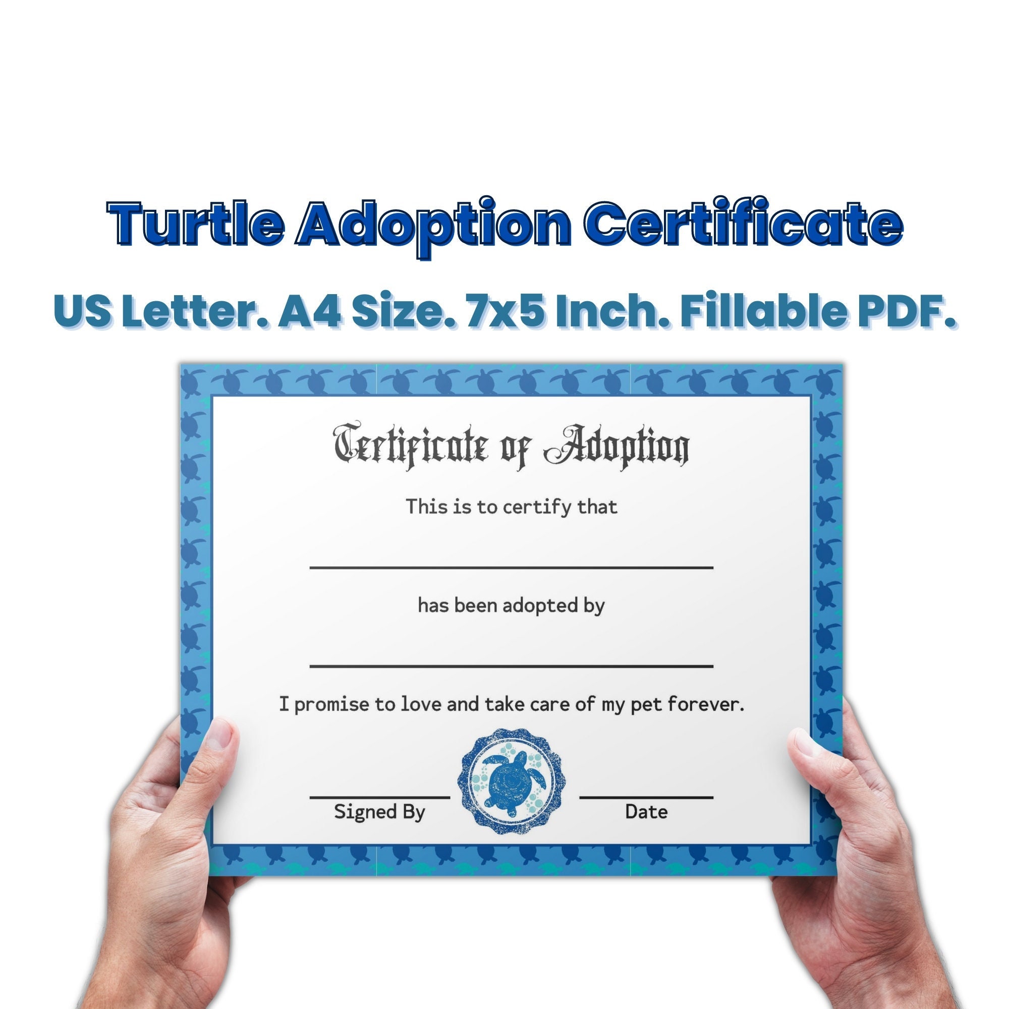 Pet Turtle Adoption Certificate, Custom Editable Certificate Template ...