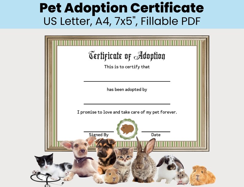 Guinea Pig Adoption Certificate, Custom Editable Certificate Template ...