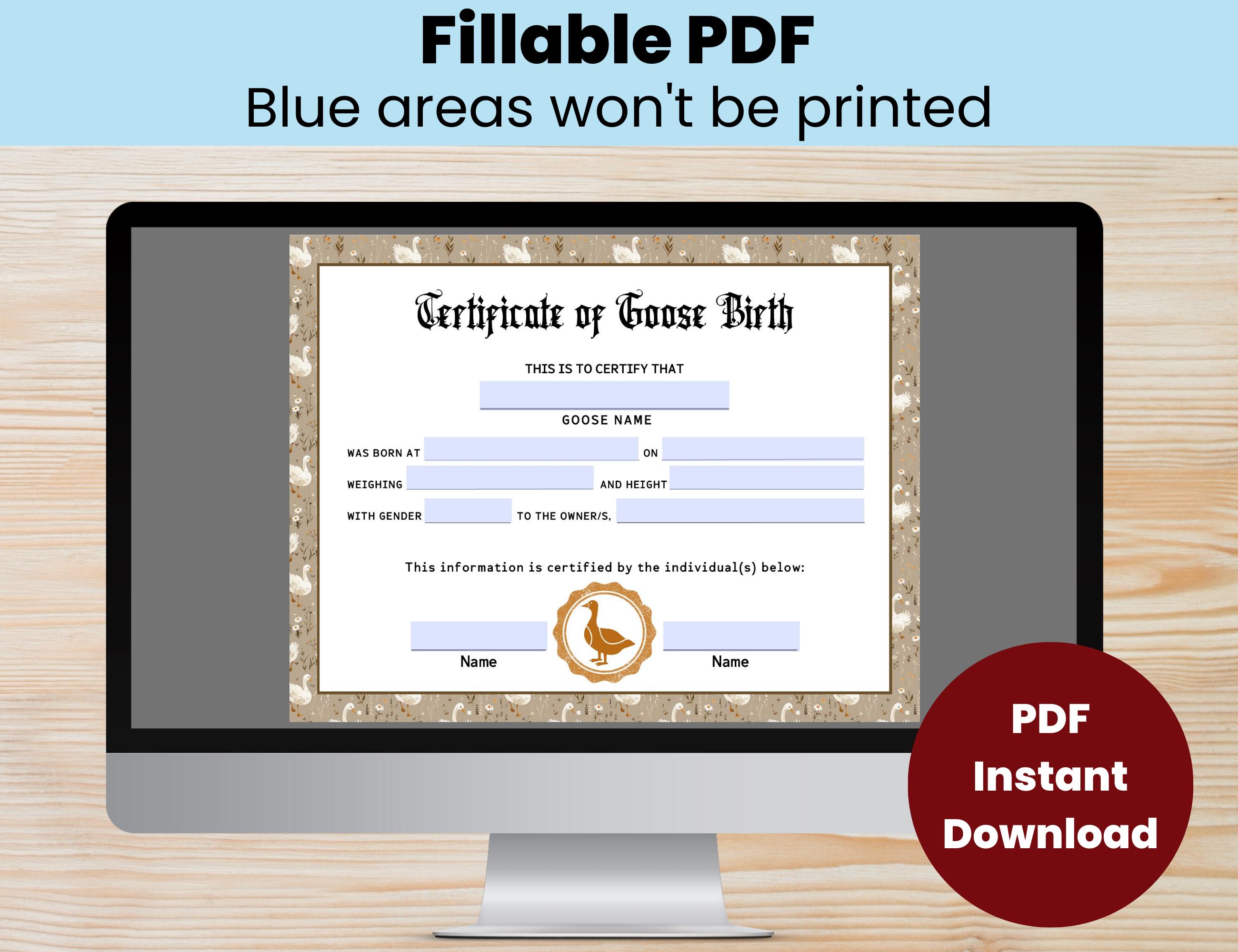 Personalized Goose Birth Certificate Template Editable, New Pet Gift ...