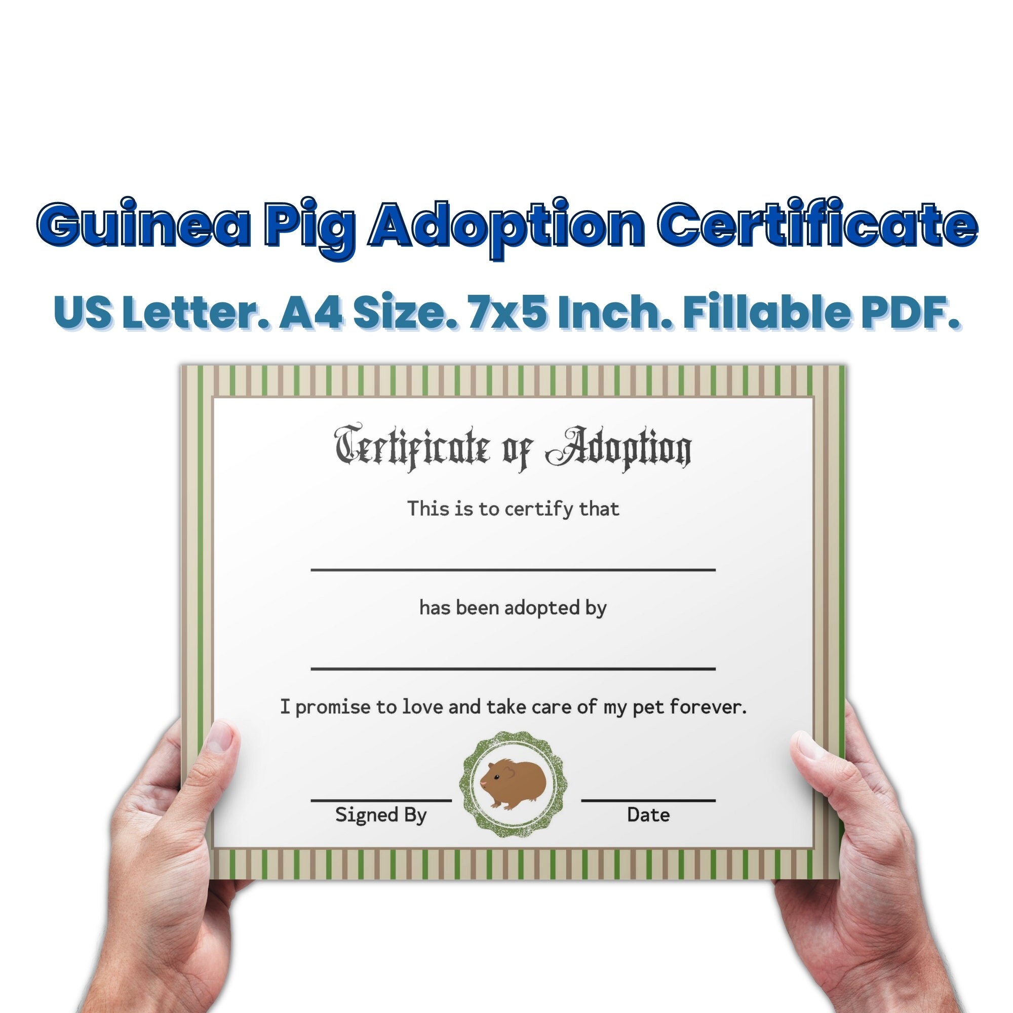 Guinea Pig Adoption Certificate, Custom Editable Certificate Template ...