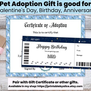 Pet Bird Adoption Certificate, Custom Editable Certificate Template for ...