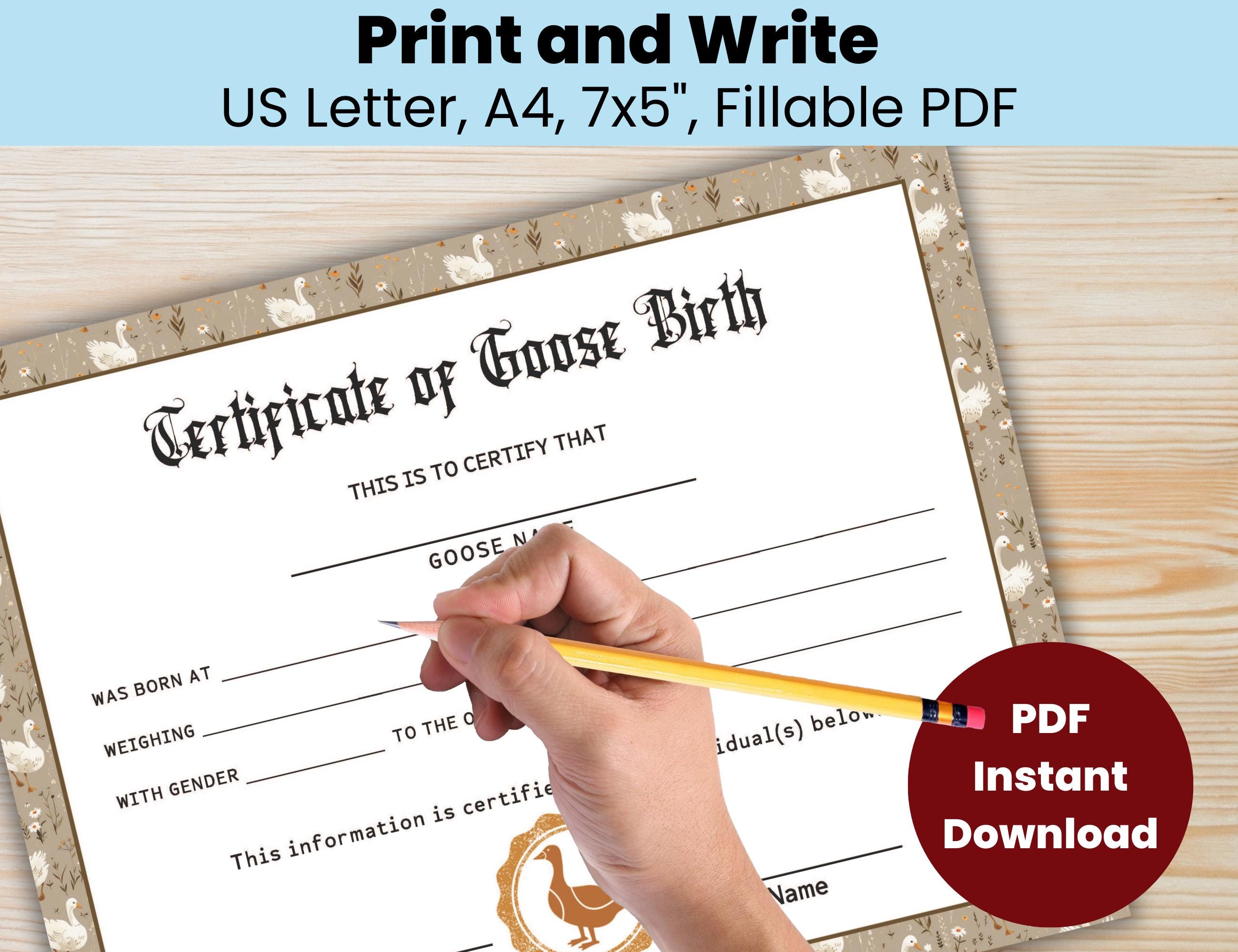 Personalized Goose Birth Certificate Template Editable, New Pet Gift ...