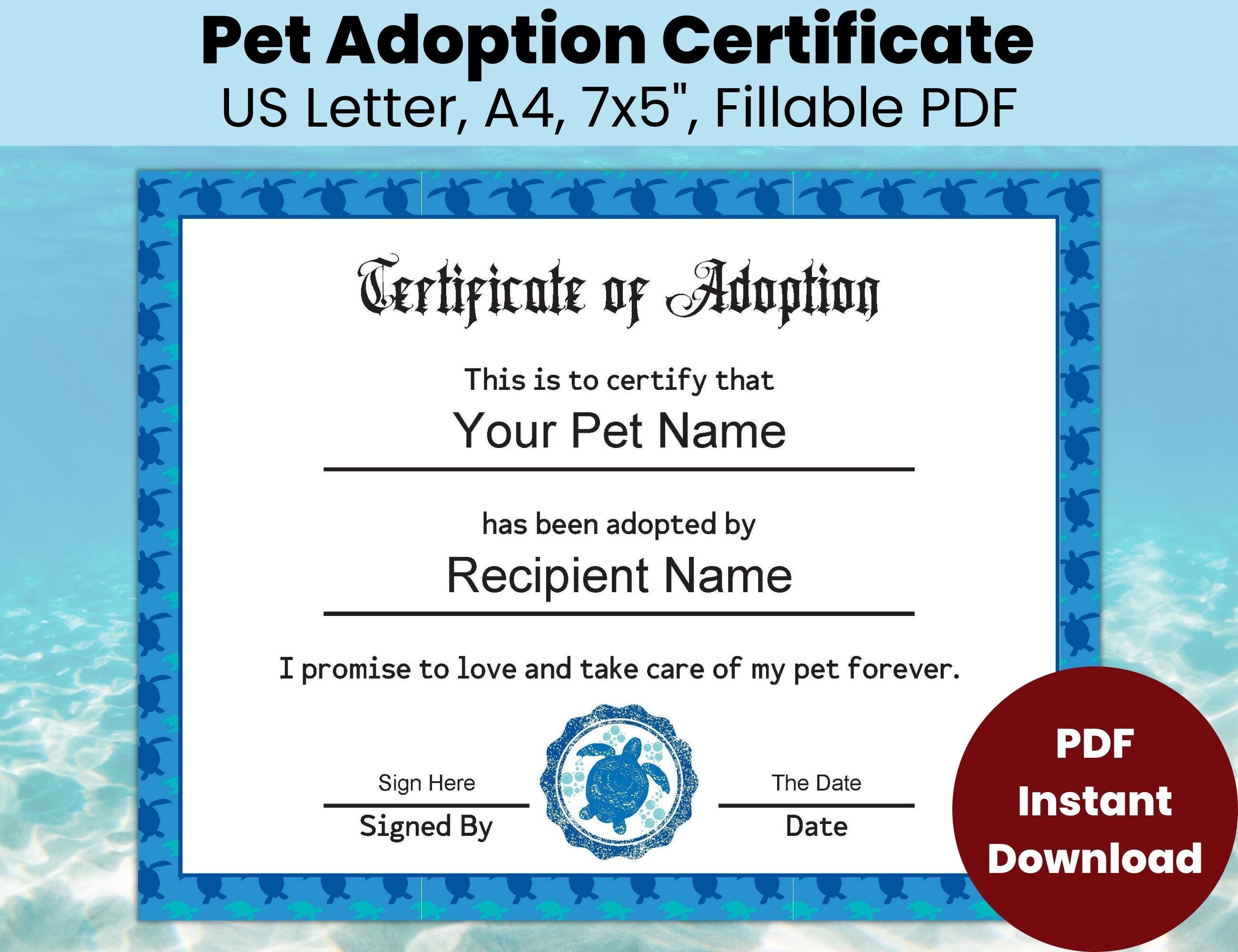 Pet Turtle Adoption Certificate, Custom Editable Certificate Template ...