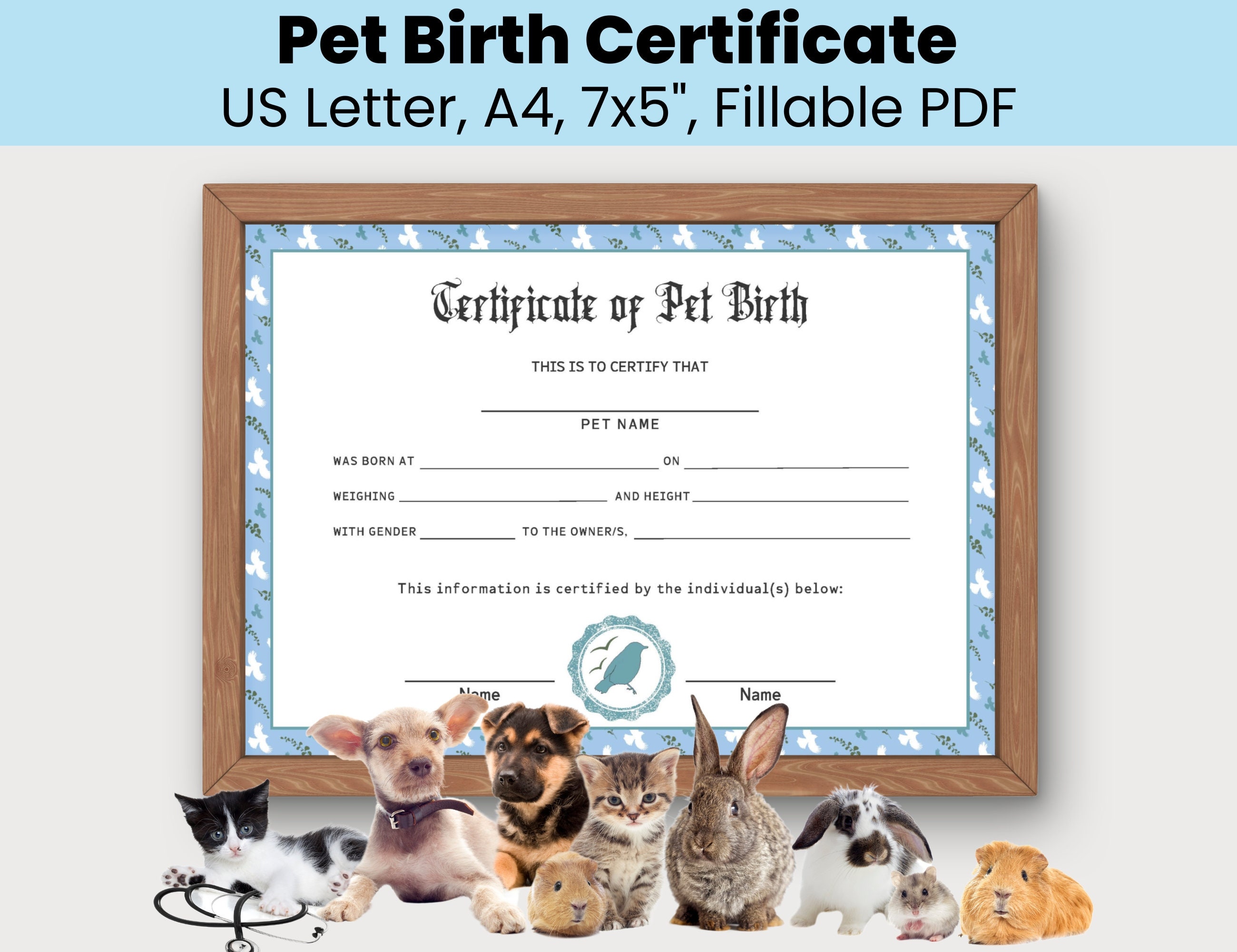 Personalized Pet Bird Birth Certificate Template Editable, New Pet Gift ...