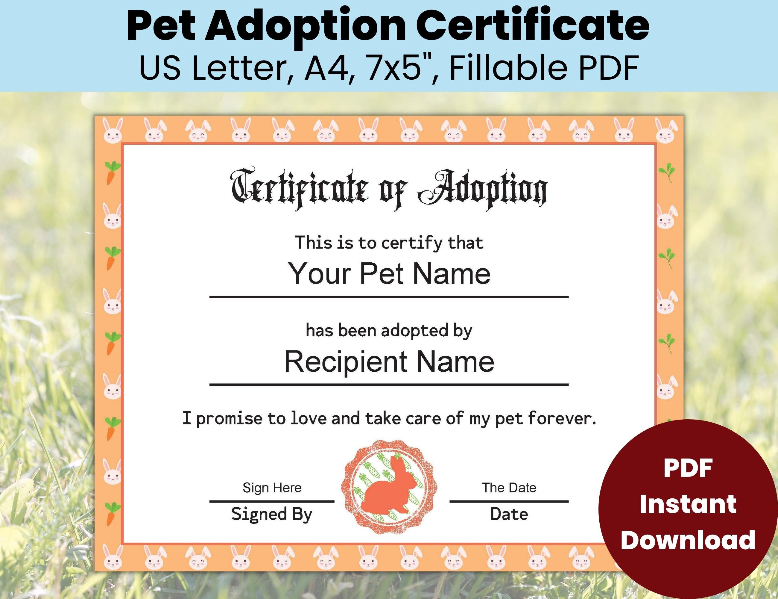 Bunny Rabbit Adoption Certificate, Custom Editable Certificate Template ...