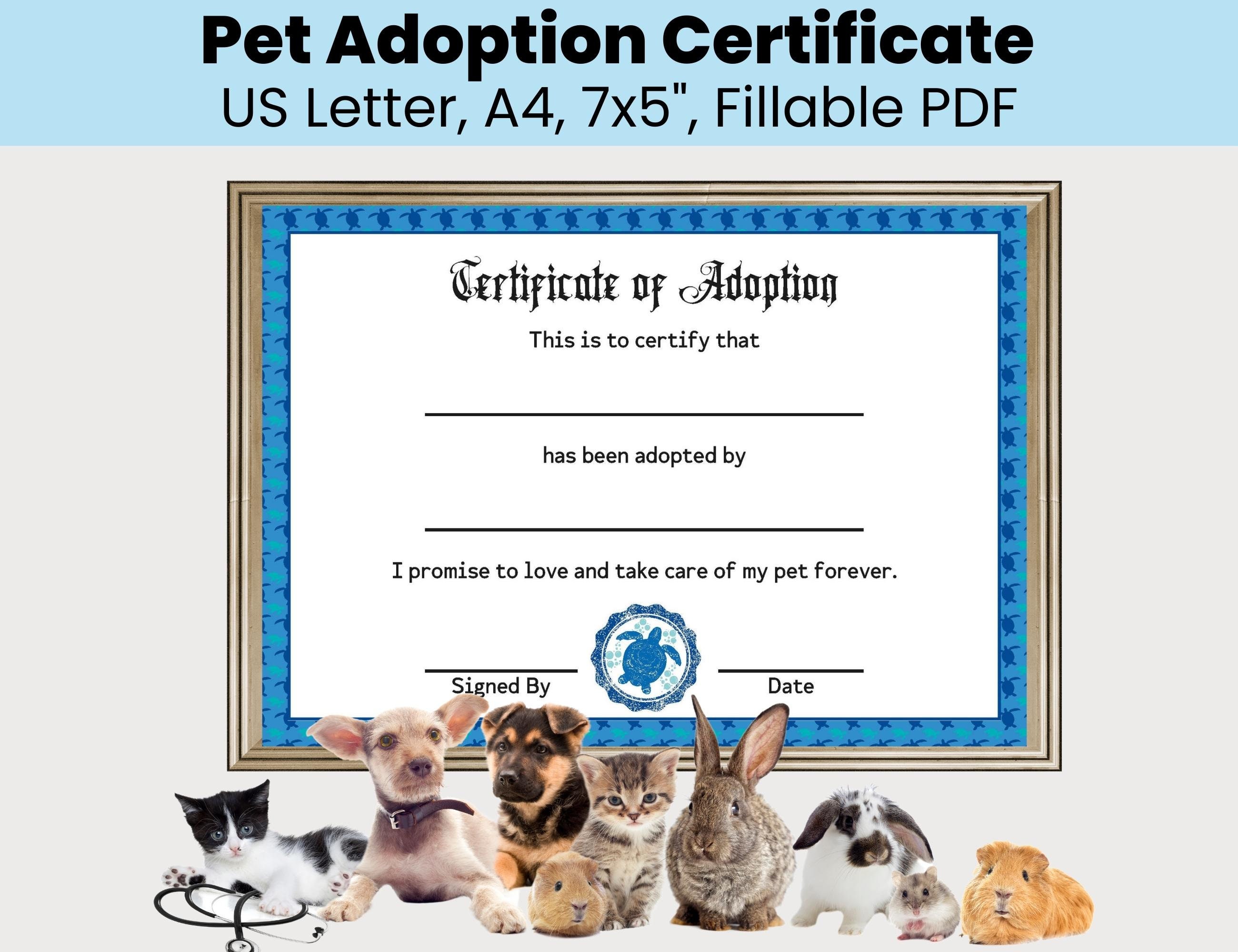 Pet Turtle Adoption Certificate, Custom Editable Certificate Template ...