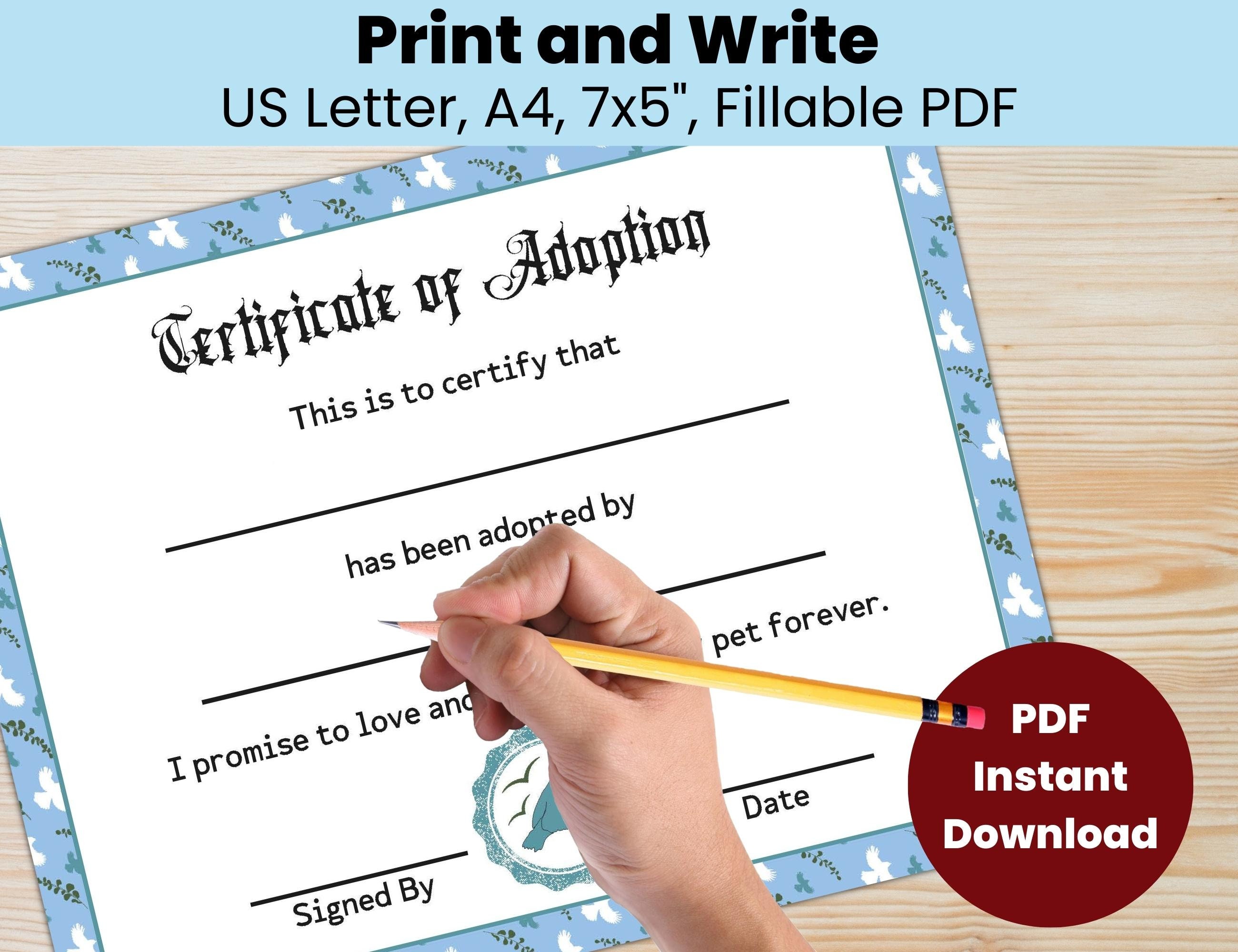 Pet Bird Adoption Certificate, Custom Editable Certificate Template for ...