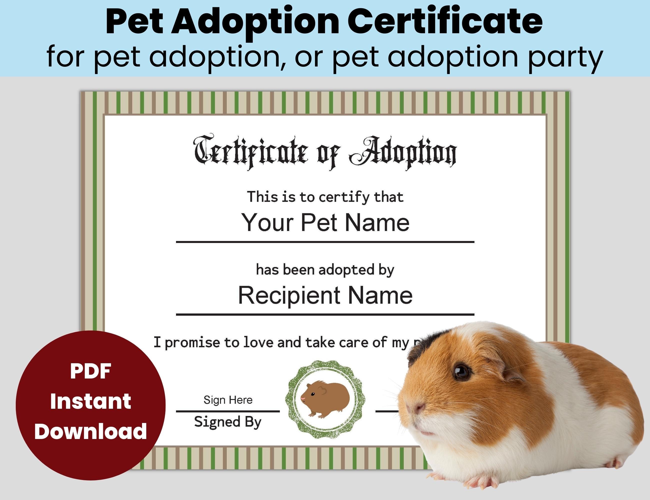 Guinea Pig Adoption Certificate, Custom Editable Certificate Template ...