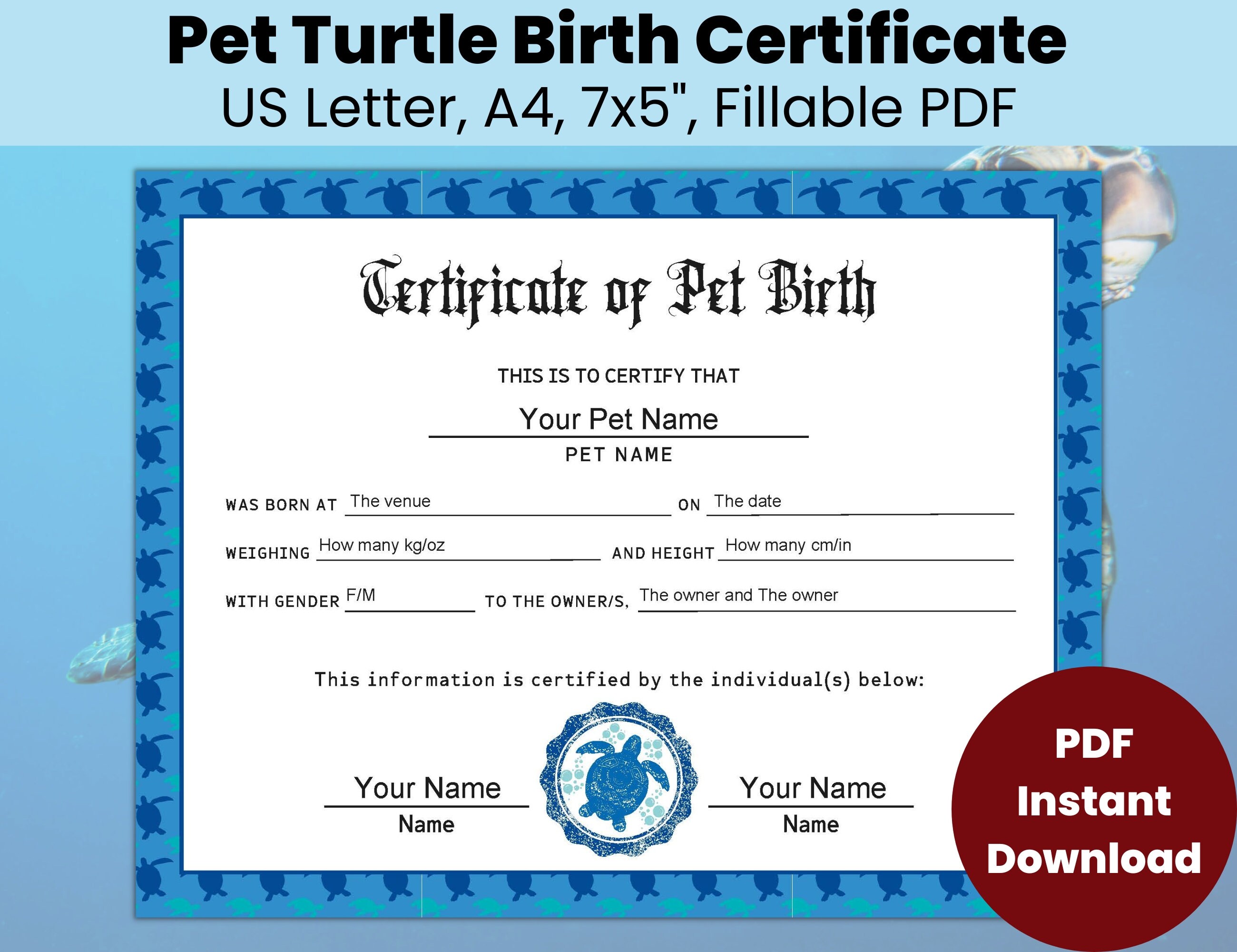 Personalized Pet Turtle Birth Certificate Template Editable, New Pet ...