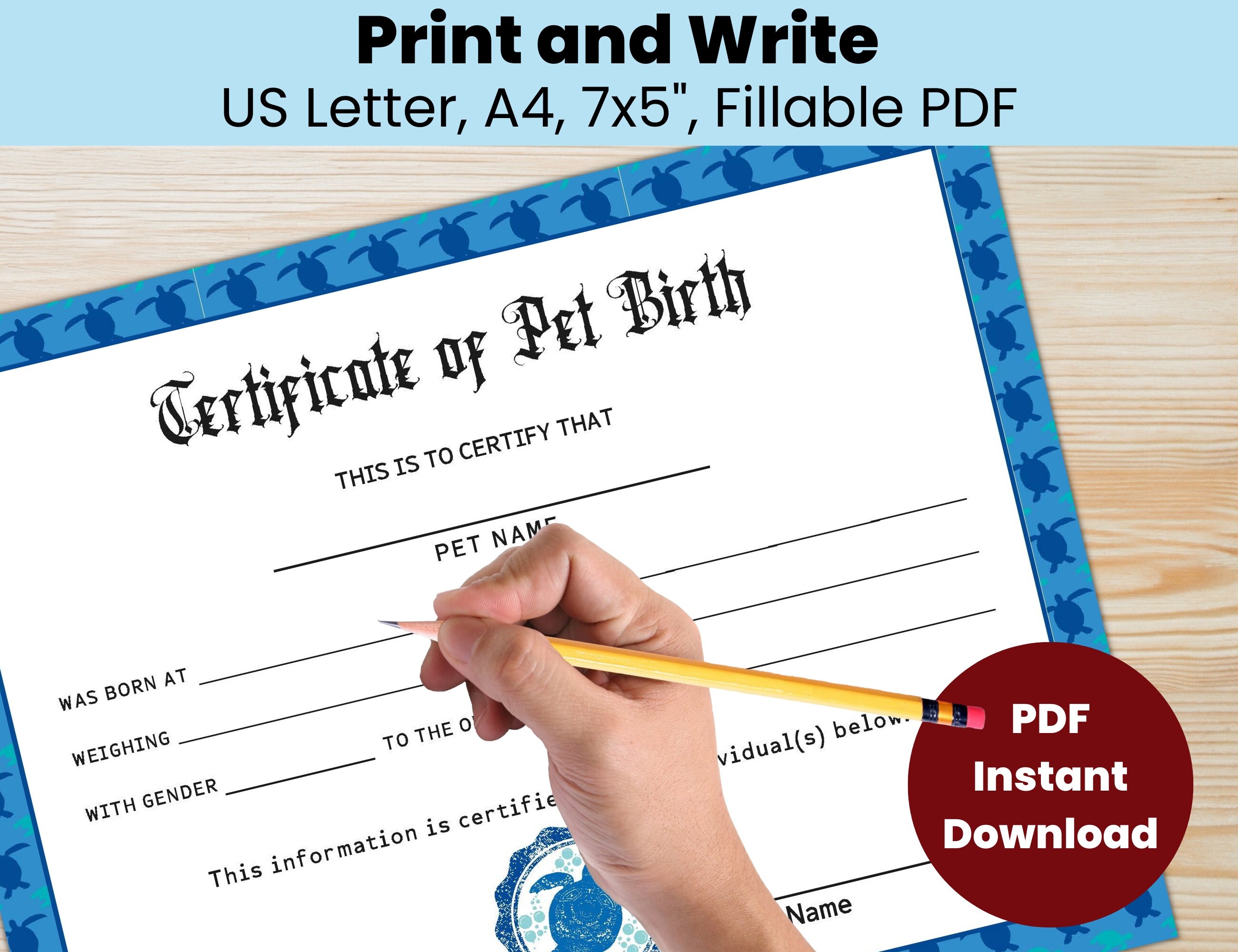 Personalized Pet Turtle Birth Certificate Template Editable, New Pet ...